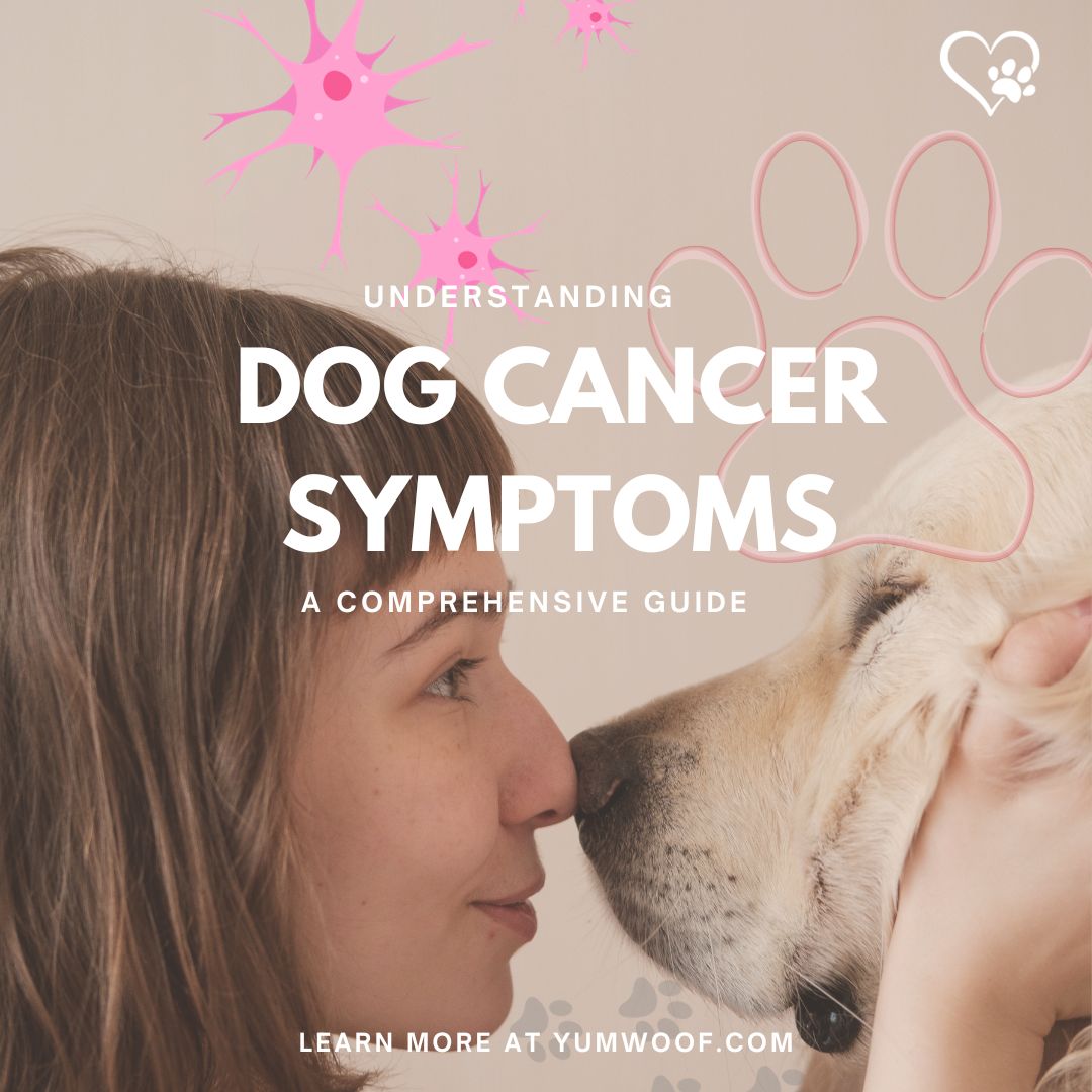 Understanding Dog Cancer Symptoms: A Comprehensive Guide – Yumwoof ...
